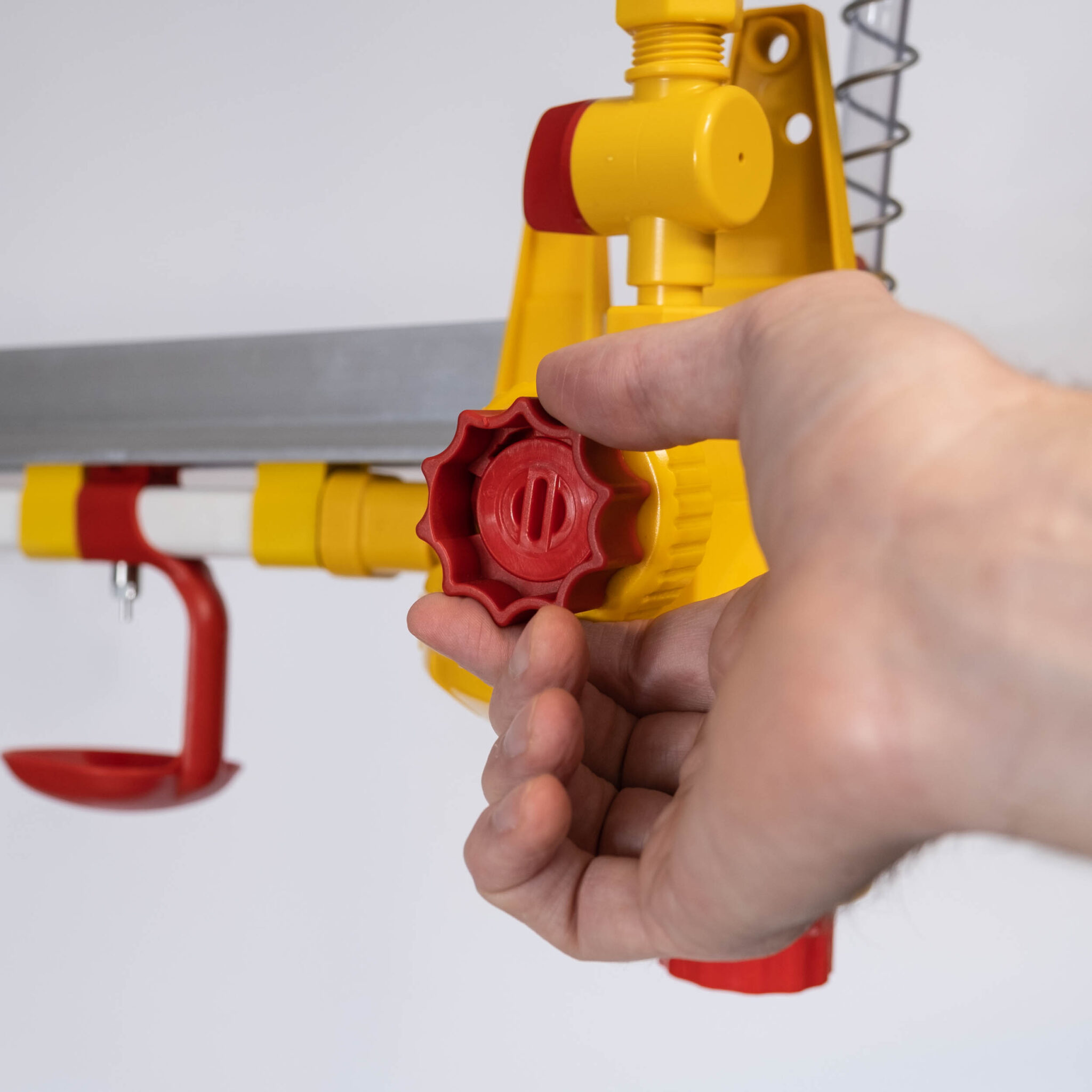 POULTRY – LubingUSA