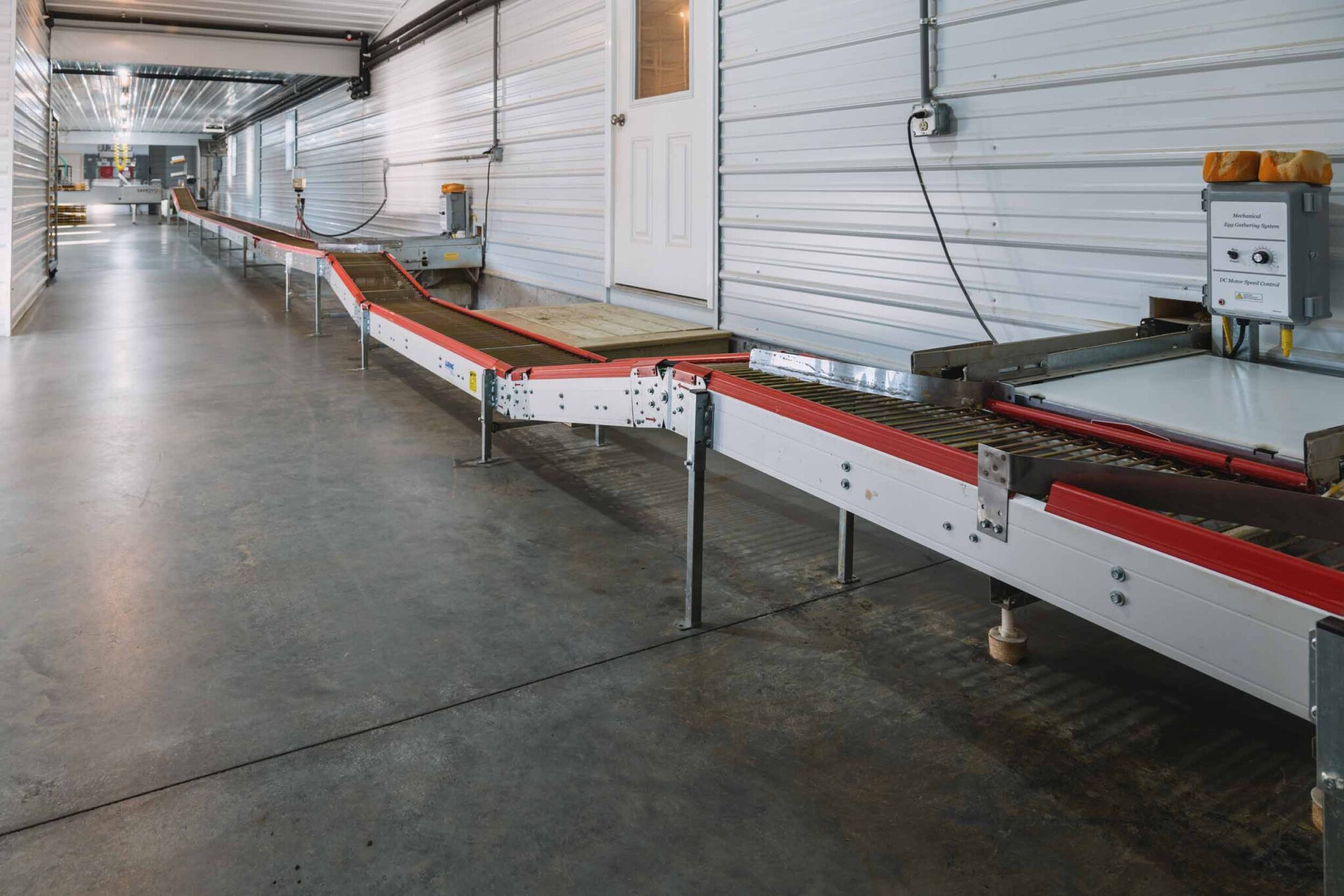 BREEDER EGG CONVEYOR – LubingUSA