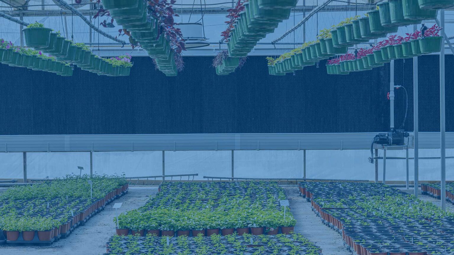 COOLING PAD – LubingUSA