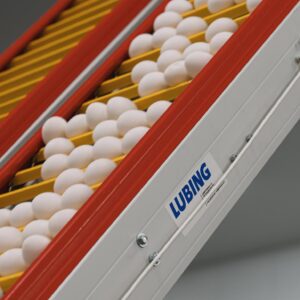 POULTRY – LubingUSA